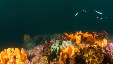 Climate Change - Knowledge Bank - Solar Schools